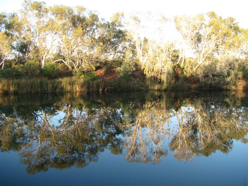 Back Whenever!: Millstream National Park