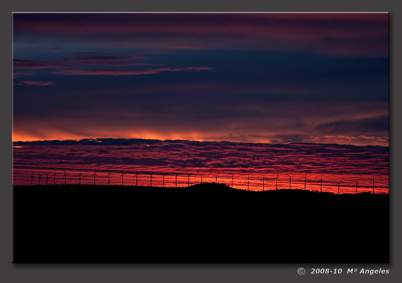 Angeles B.: Puesta de Sol