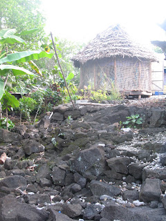 Swoon to Be Alive: In the village of Tufutafoe, Savaii, Western Samoa ...
