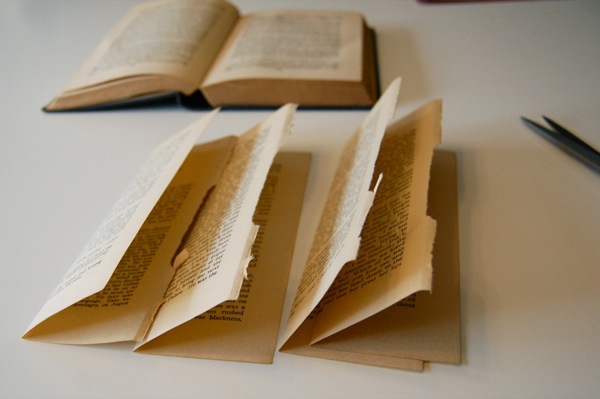 Book Paper Apple DIY | NoBiggie