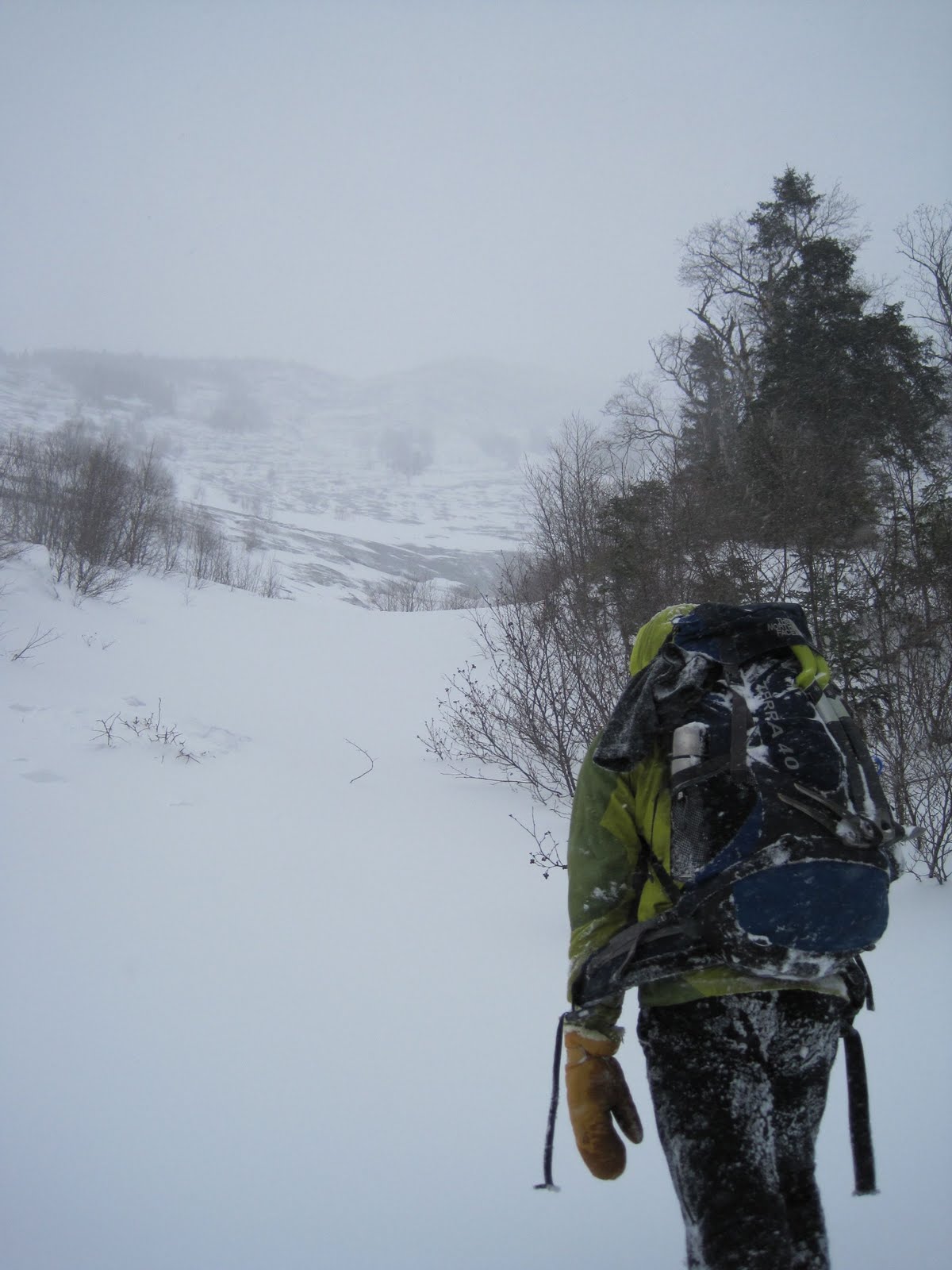Climbing is fun.: Gothics North Face and True North Slide