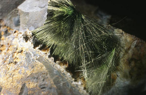 If These Gems Could Talk