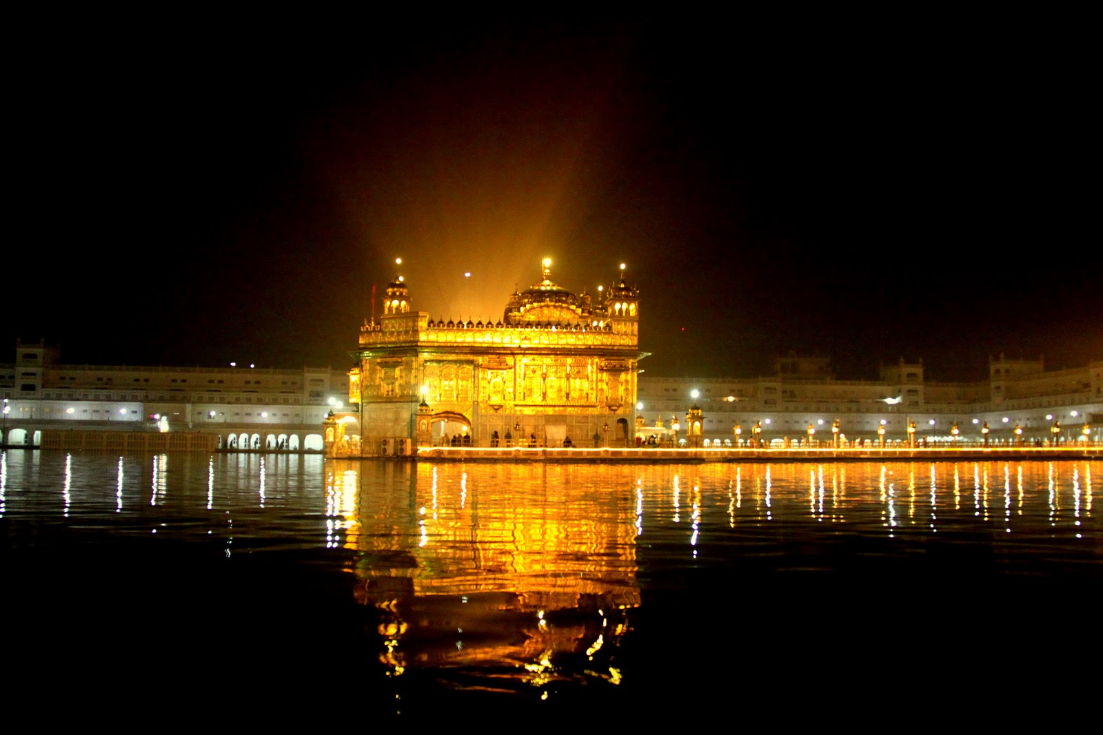 Soaring Seagull: The Golden Temple