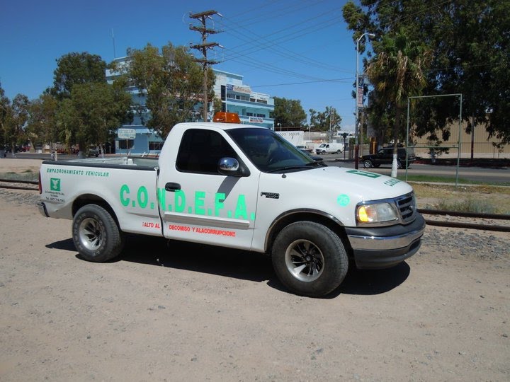 CONDEFA SI PROTEGE TU PATRIMONIO: AFILIACION CONDEFA SI EN PTO. PEÑASCO ...