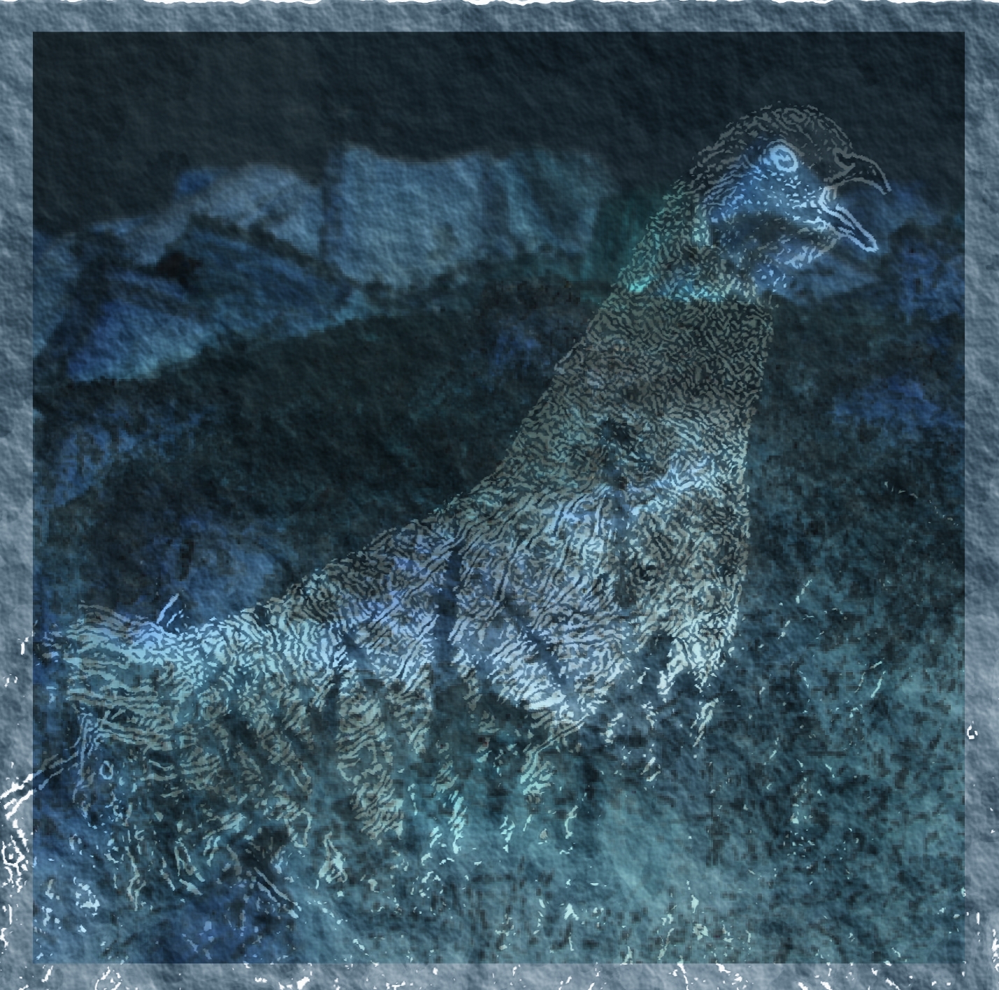 Monotypes or monoprints?: Perdix Themes by Joram Feitsma