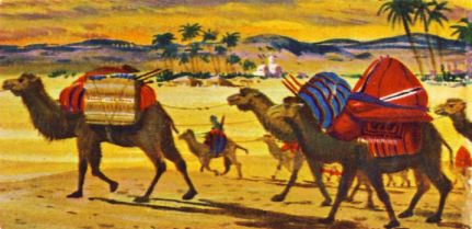 Louder and Funnier: Transportation Through The Ages