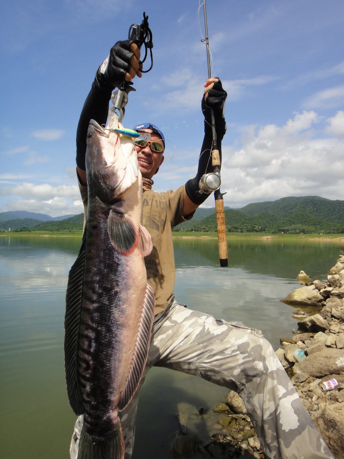 Thailand Giant Snakehead (Toman) And Wild Fishing.: 11.5kg & 7KG Giant ...