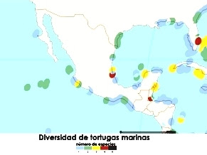 APRENDISAJE ESCOLAR?!!: QUE ES POCHITOQUE