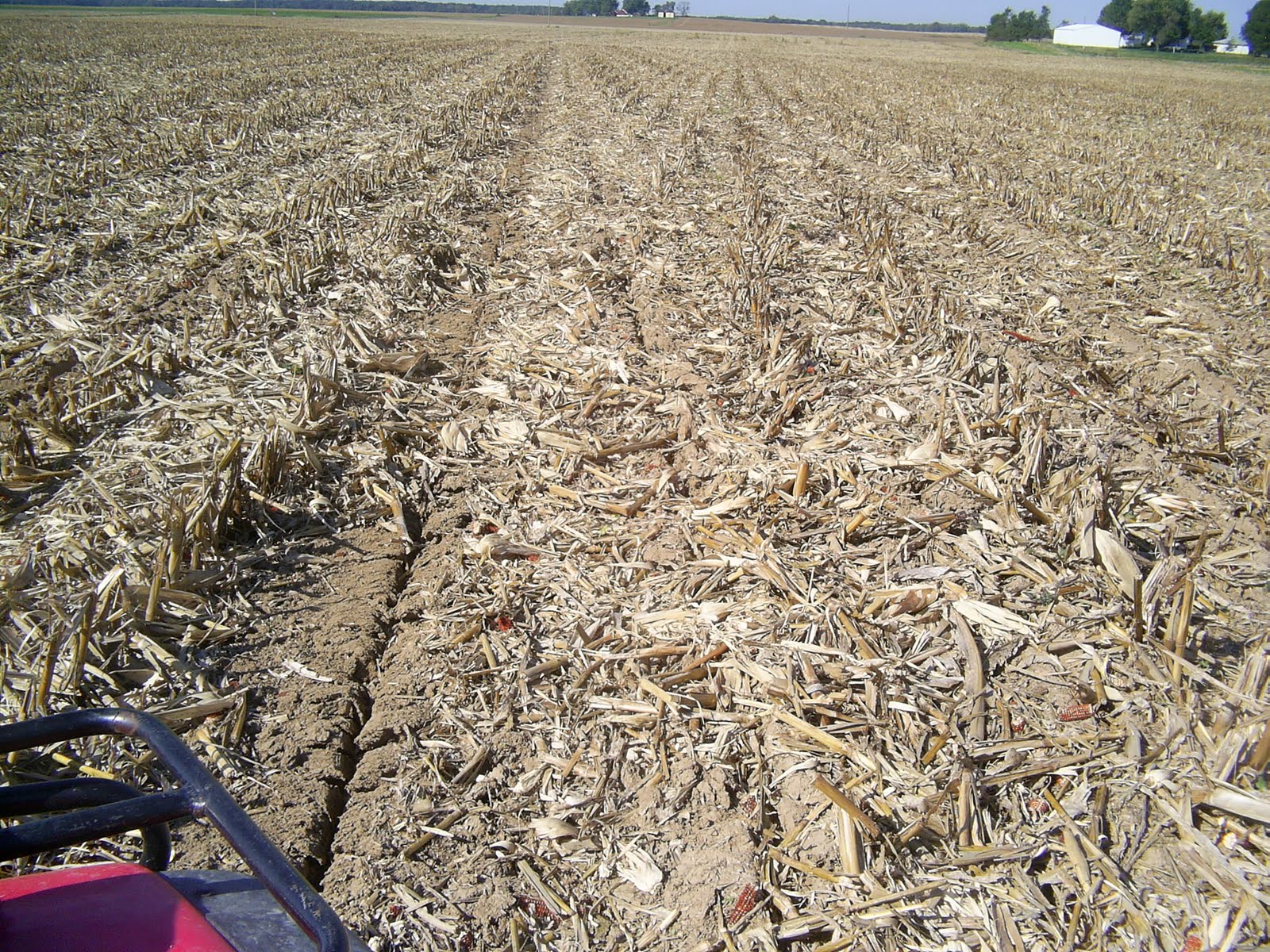 Observations in Agriculture: Vertical Tillage