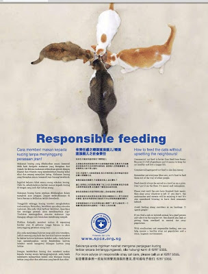 Singapore Community Cats: SPCA's Responsible Feeding Poster
