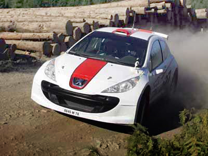 Modified peugeot 207 sport