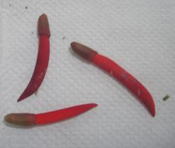 "Pichocos" | Planeta de Rosas