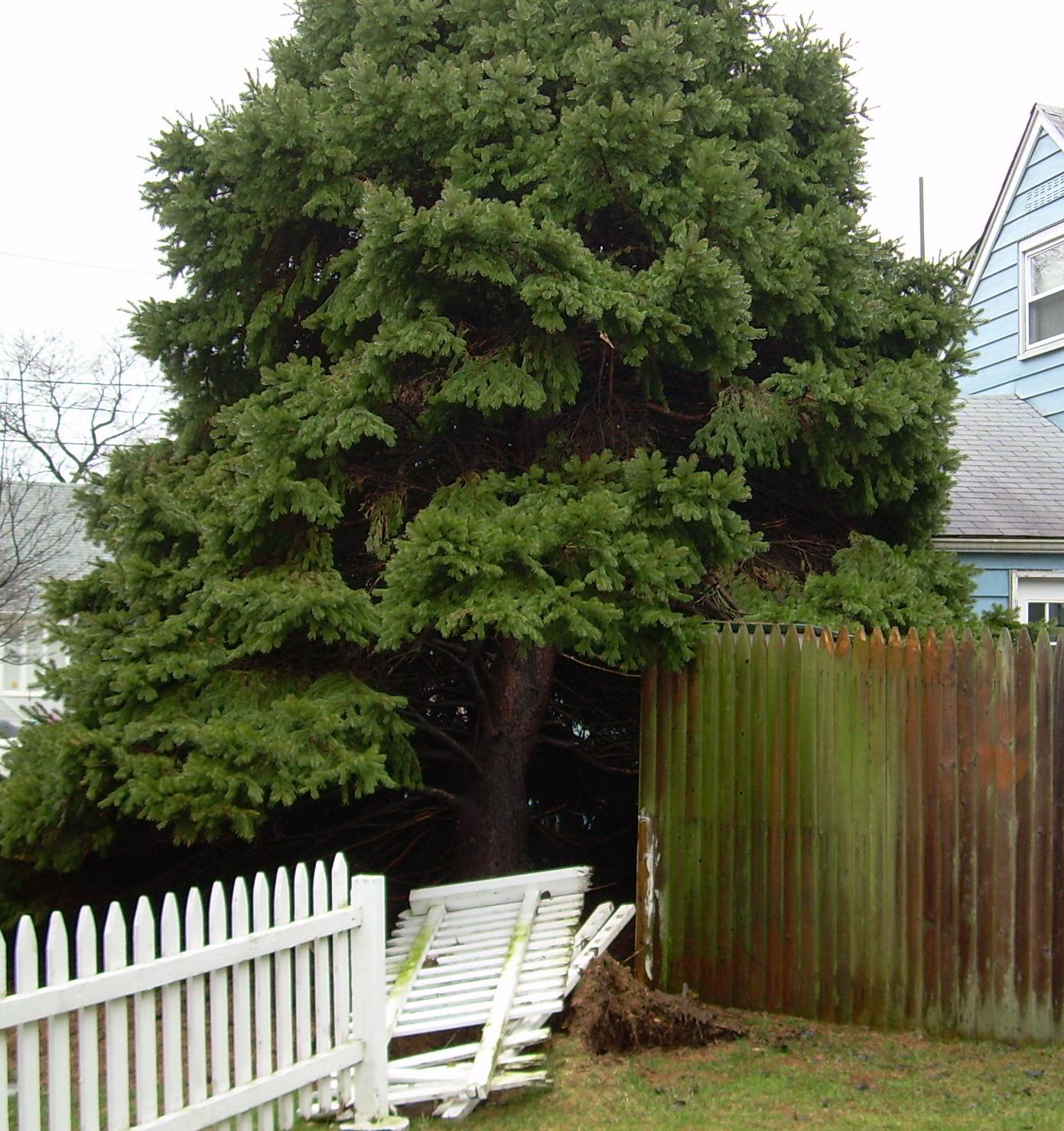 The Wacky and Wonderful World of Brind'Amour