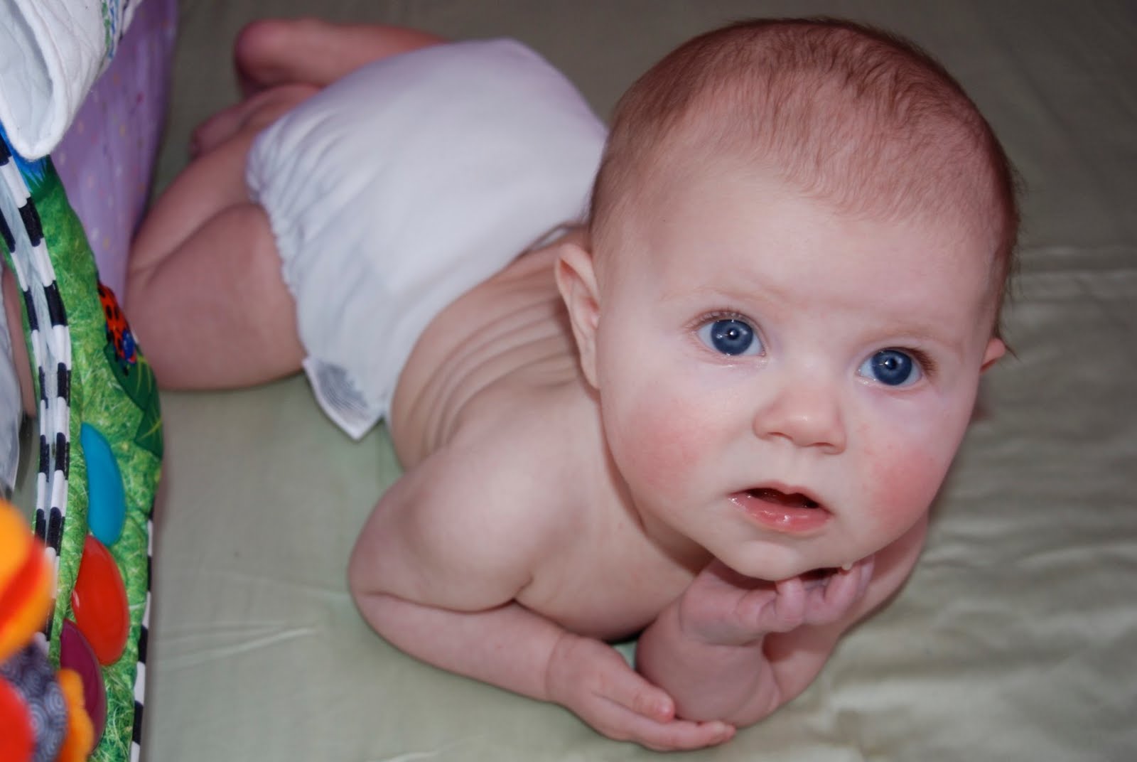 Makin It FAQ What About The Poop makin-it-faq-what-about-the-poop