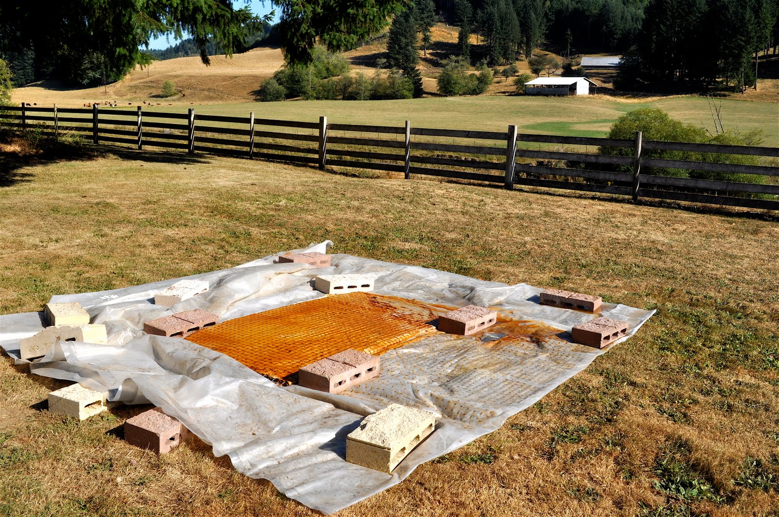 LuAnn Kessi: Rust Dyeing a Culvert Screen...