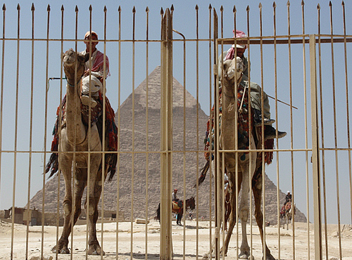 Oriente Antigo - Ancient Near East in all modern languages: Looting in ...