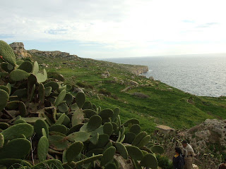 Ramblers Association of Malta: 4th February 2009 Bahrija and Mtahleb Walk