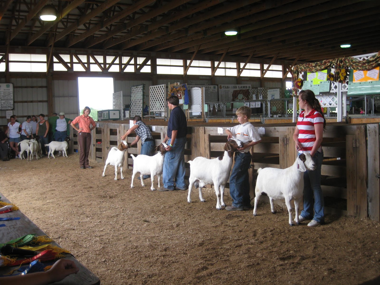 On The Pond Farm: Westmoreland Fair Breeding Meat Goat Competition