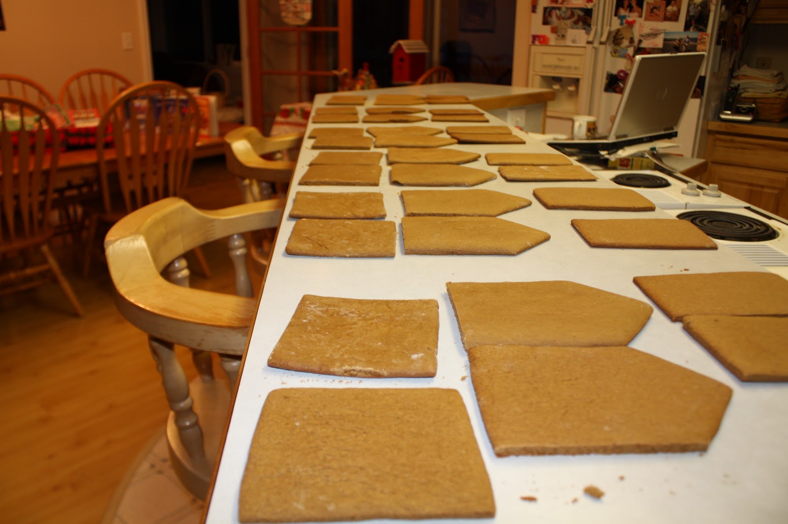 Everyday Cookies: Look at what we built! Gingerbread houses!