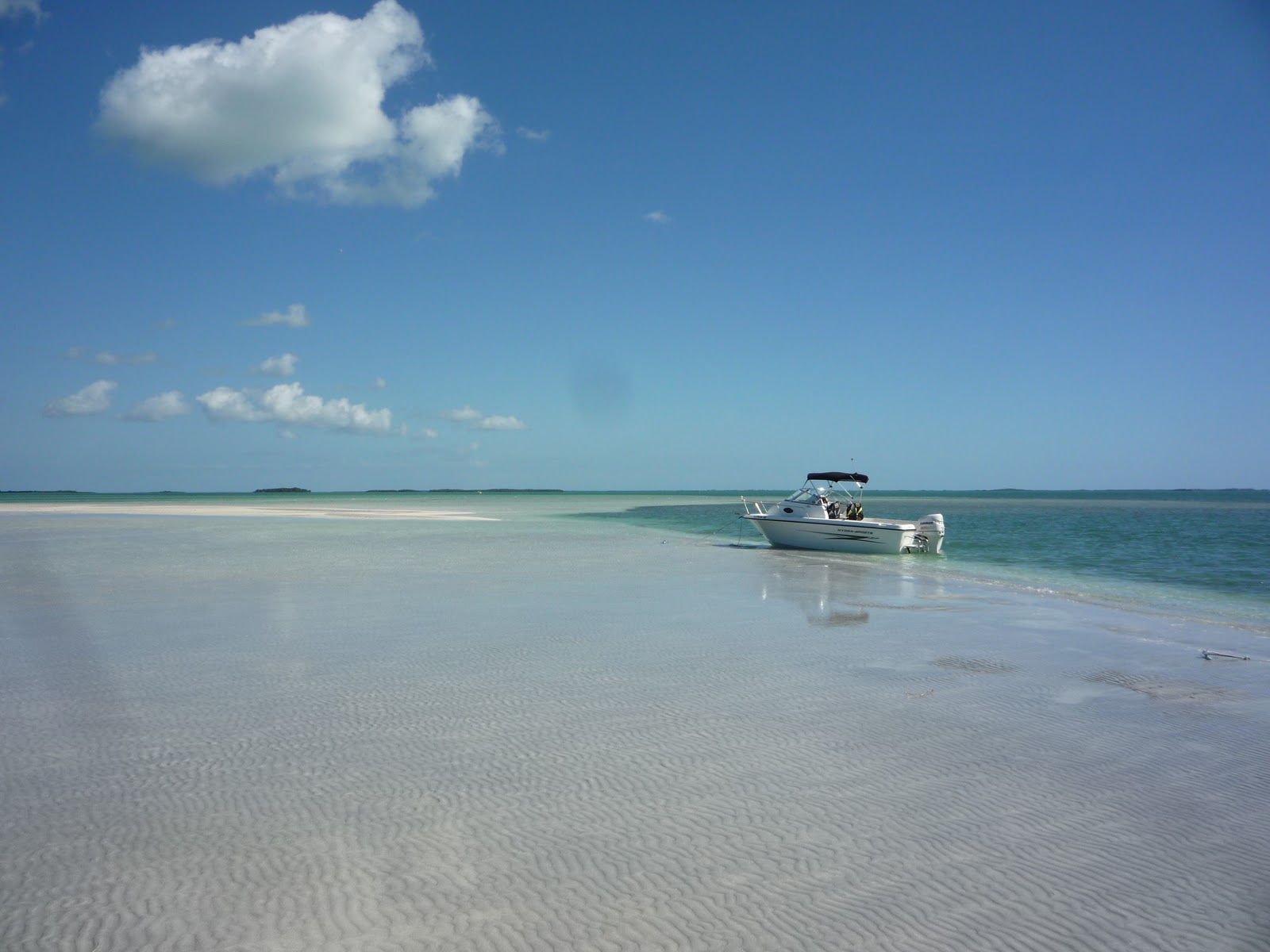 Zuzu and Tootie's Journey: Return to Marvin Key