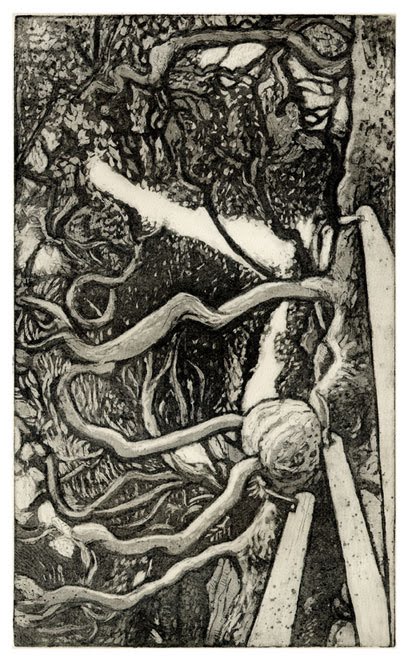 Rebecca Wright's Drawing Blog: Gnarly Trees