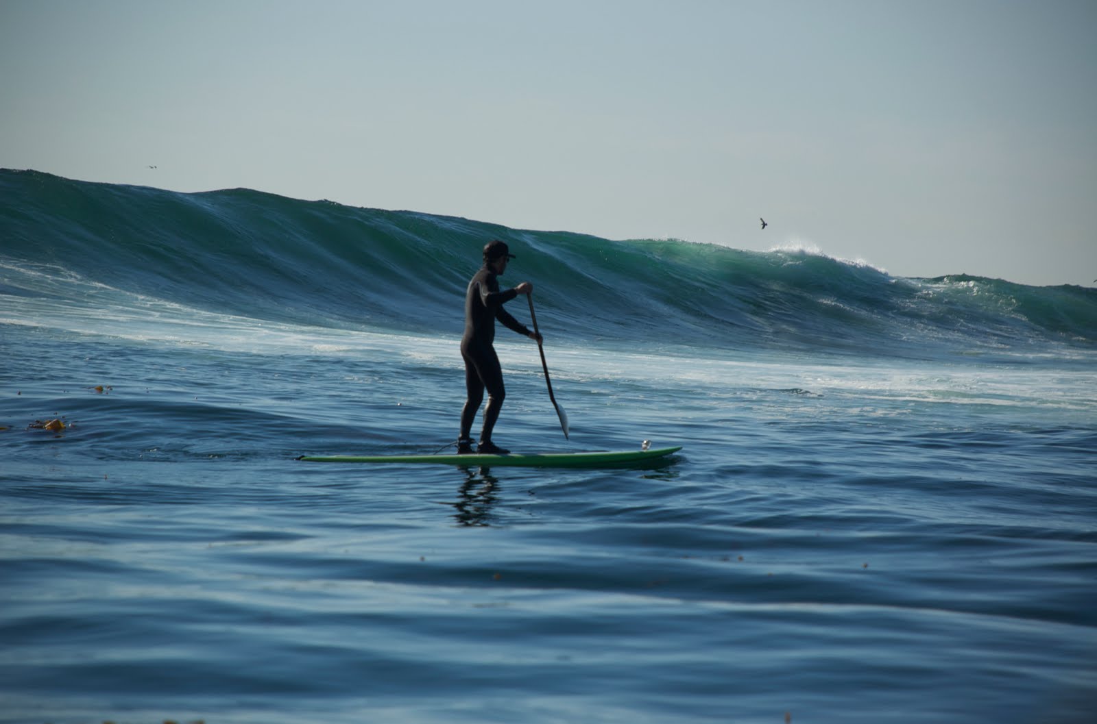 Stand Up Paddle Surfing: Out there: Stand Up Paddling some Bluebirds...
