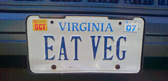 Wonderful World: 20 Vanity License Plate