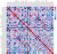 Daryl's Maps: Correlation Matrix