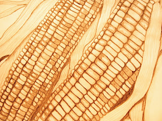 Back to Art: Indian Corn Pencil Drawing