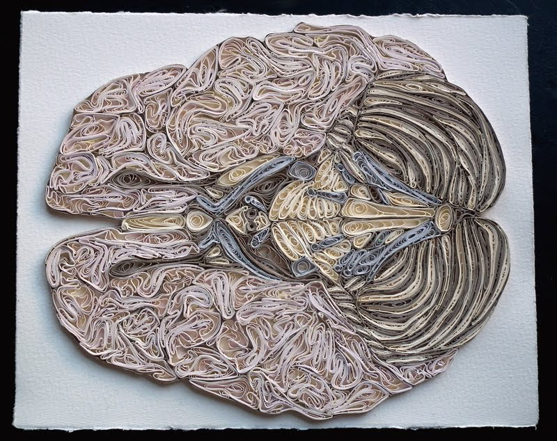 Anatomical Quilling - Sarah Yakawonis