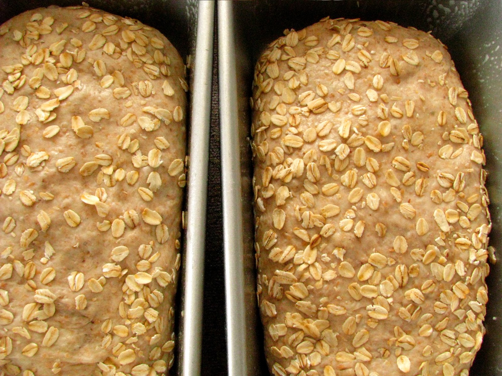 CakeWalk: Multigrain Sandwich Bread (A non-Lahey recipe, if you are ...