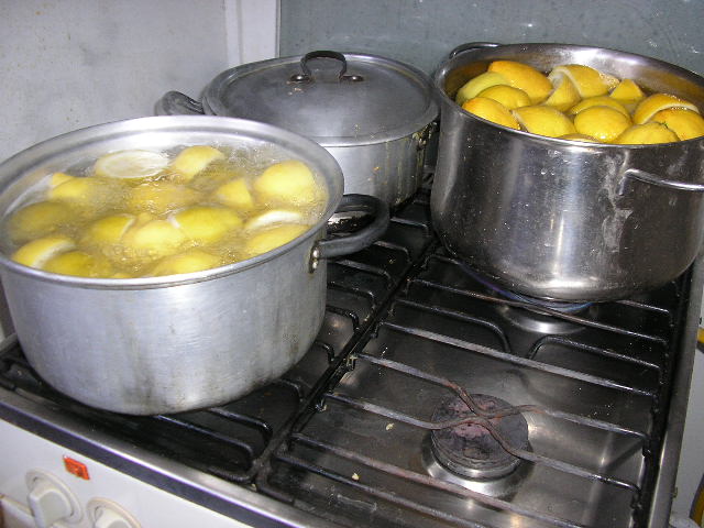 La Manada: RECETA DE CITRICOS: Pulgas/Garrapatas/Sarna