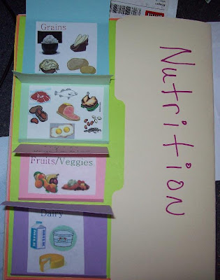 Dampf Homeschool: Nutrition lapbook