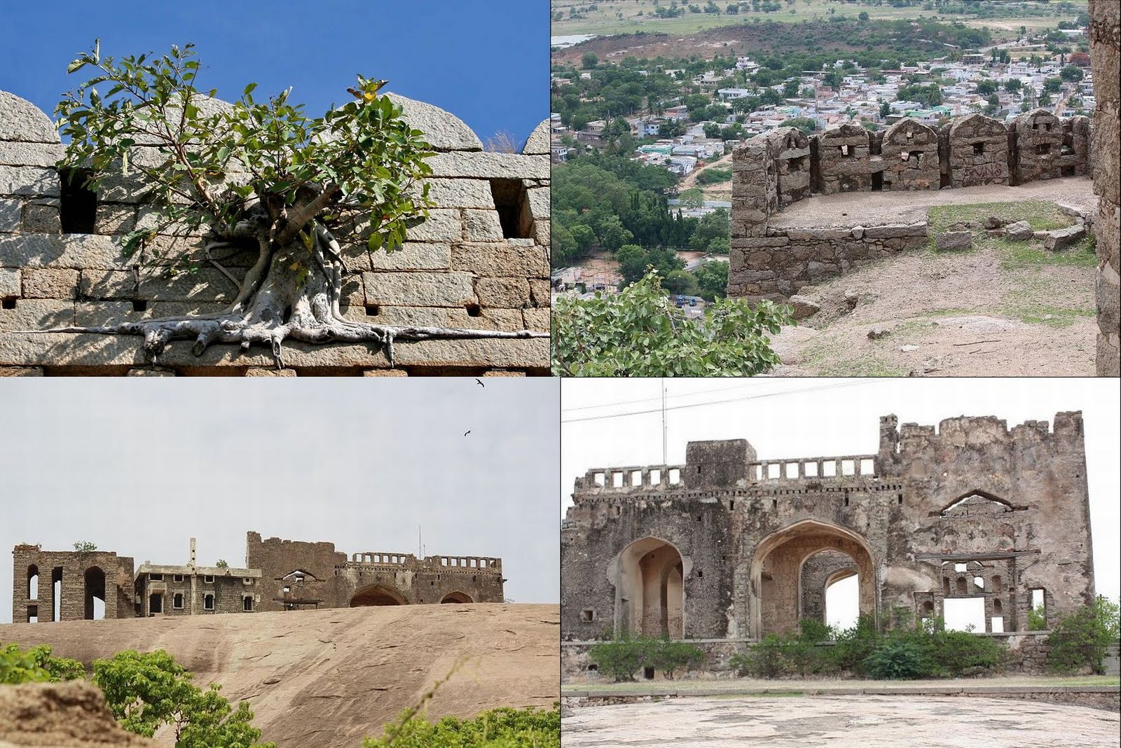 Raghu's column!: Bhongir Fort.