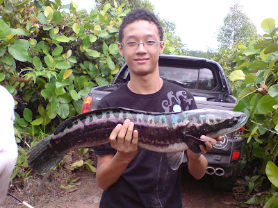 My New hobby:fishing: Lim Chu Kang Fishing