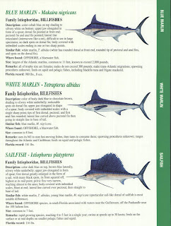 Crystal River Fishing Report: Florida Gulf Fish Identification Charts