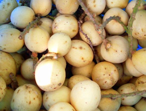 Fruits Stand: Lansones