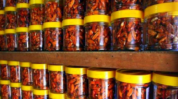 Philippines Cuisine: Most Important Nut in the World - Pili Nuts