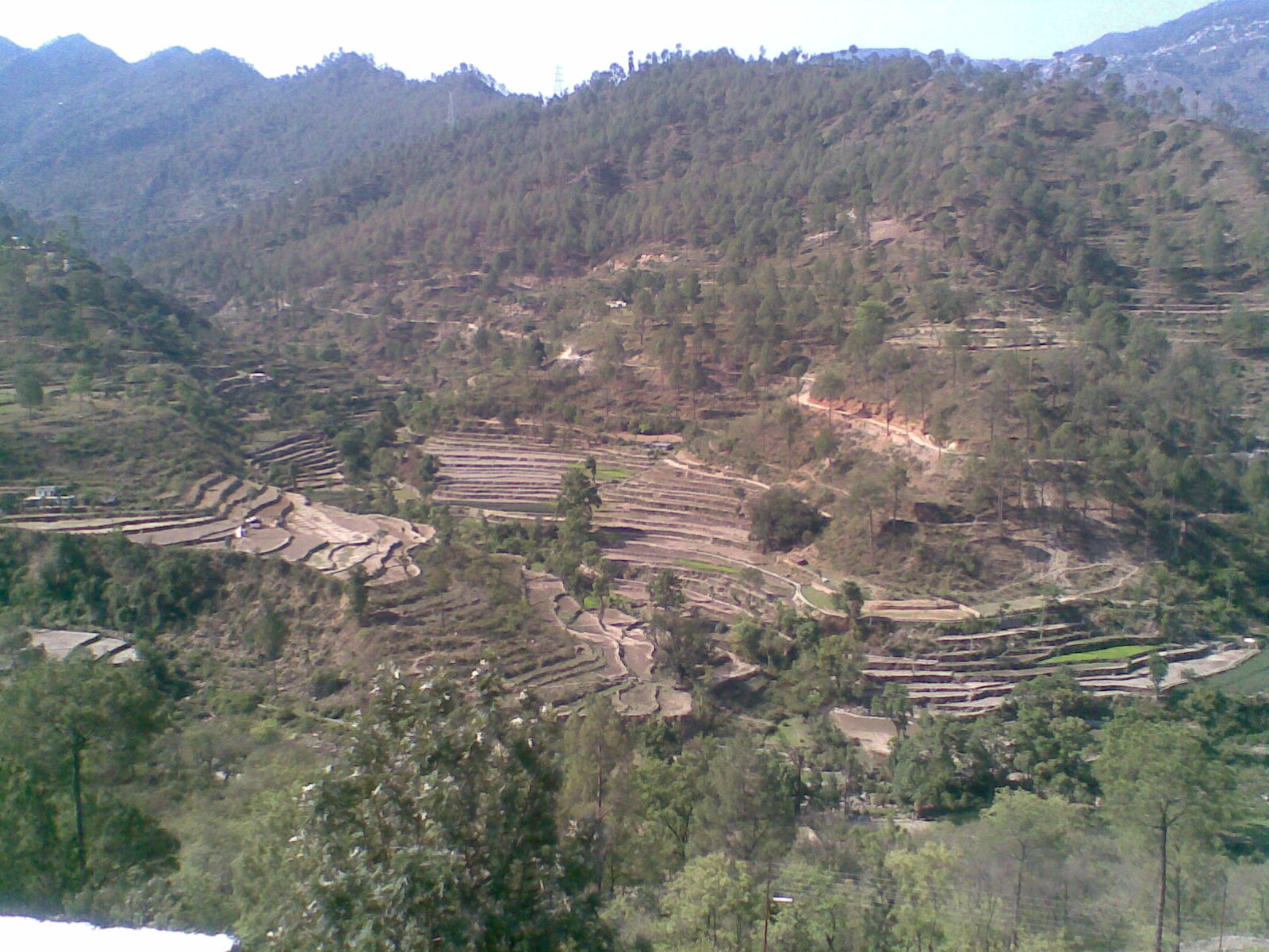 Pauri Garhwal Online - Pauri Garhwal, Garhwal Region , Uttarakhand ...