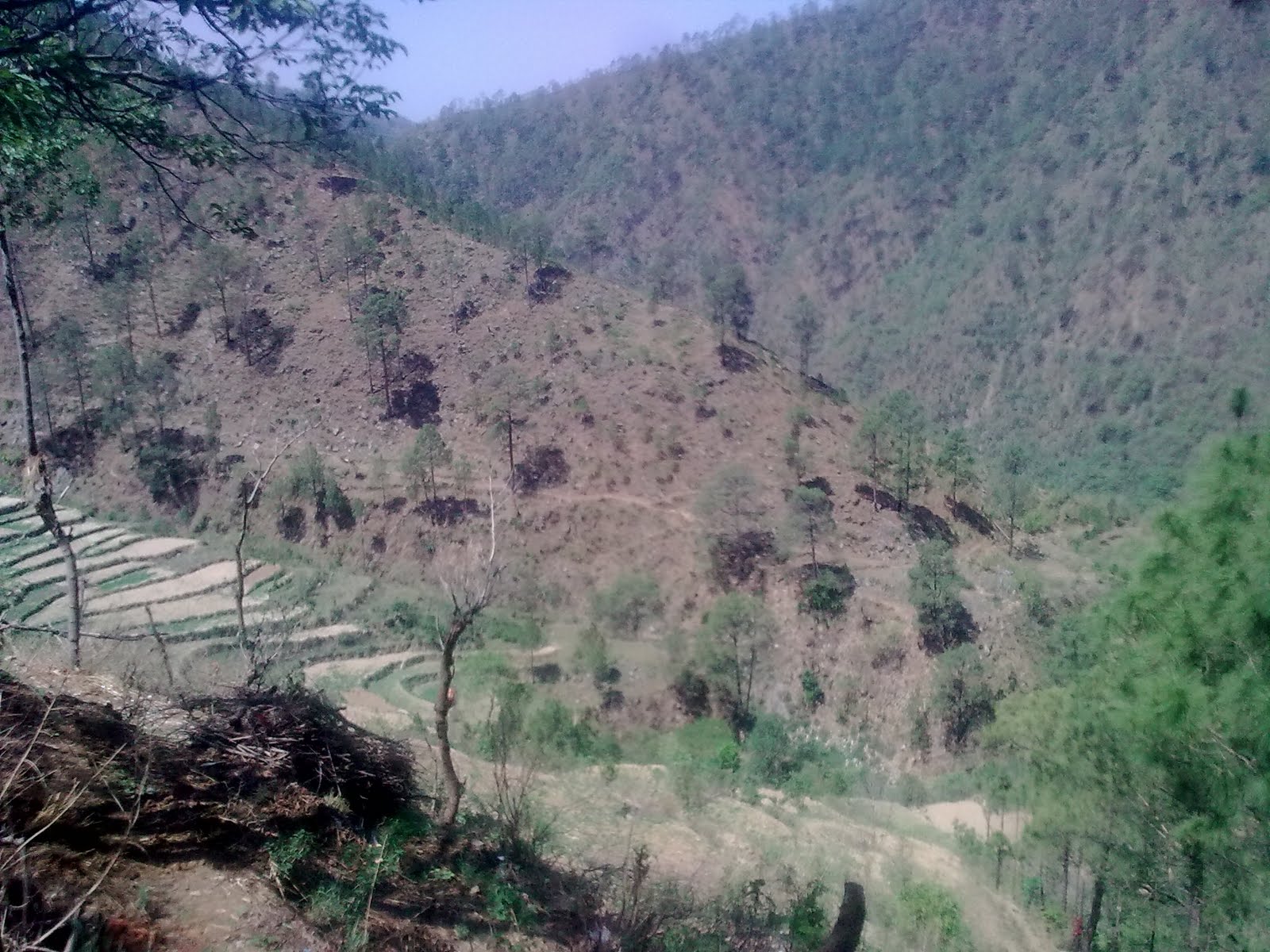 Pauri Garhwal Online - Pauri Garhwal, Garhwal Region , Uttarakhand ...