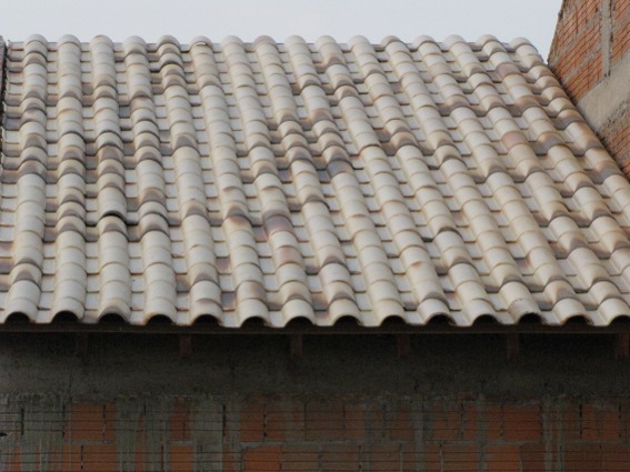 Construindo Nossa Casa: Telhado e reboco!