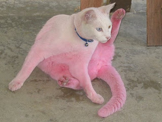 Trendy News & Articles