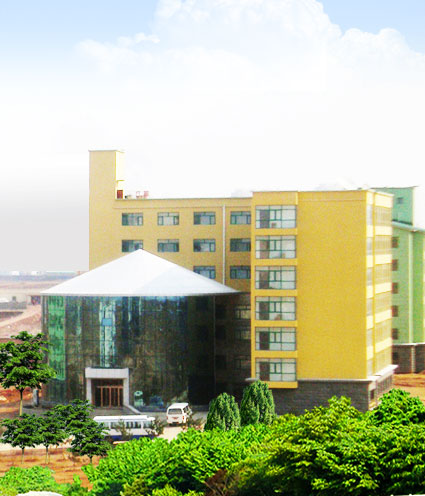 NK Vigil: Pyongyang University of Science and Technology