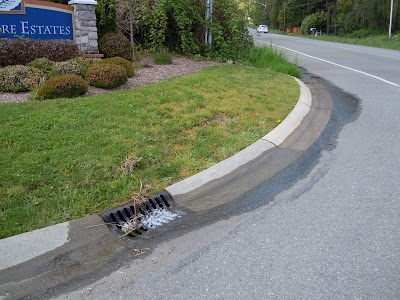 Little Swamp Creek: What happens when a 400,000-gallon stormwater ...