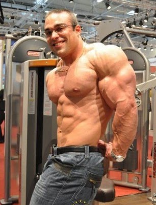 world bodybuilders pictures: muscles builder david dahan during ...