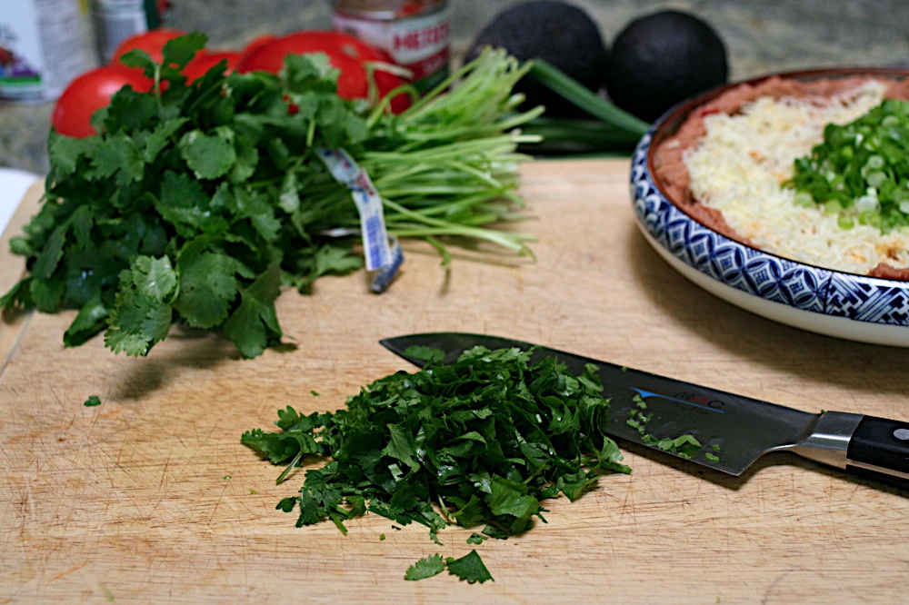 FOODjimoto: Tostada Dip