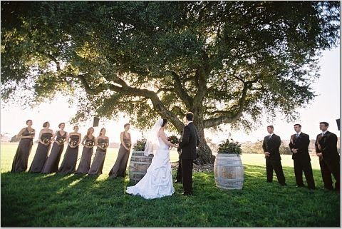 La Belle Mariee: A Wedding Under a Tree