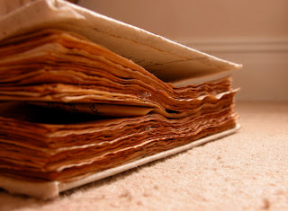 Robyn Stephenson: 04/20/09