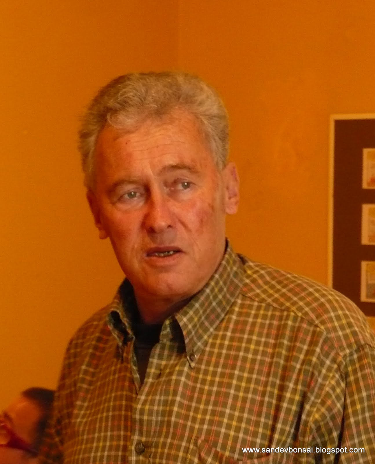 SandevBonsai: Walter Pall - Many Faces of Bonsai