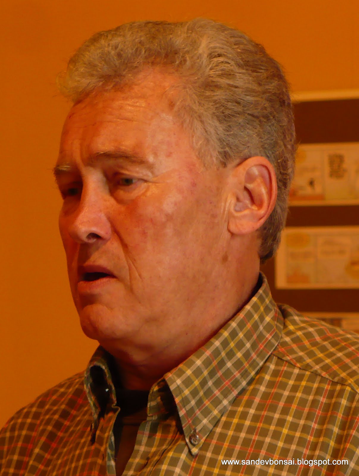 SandevBonsai: Walter Pall - Many Faces of Bonsai